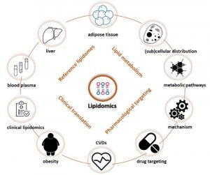 Lipidomics – Fedorova Lab